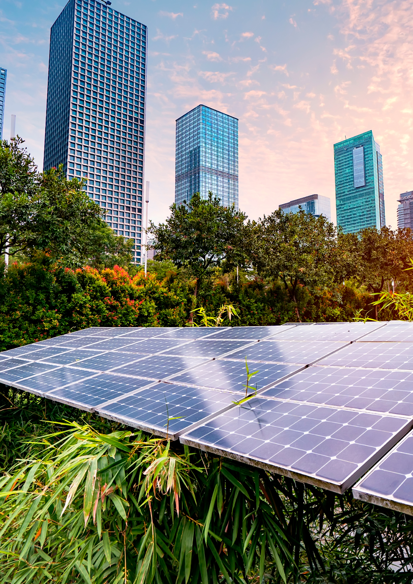CNote | Climate Cash™ | Support in Climate Change Initiatives