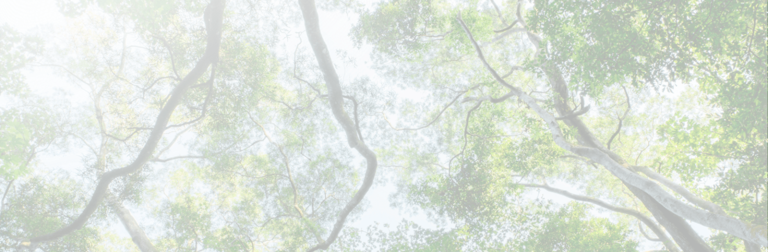 CNote | Impact Investing Solutions