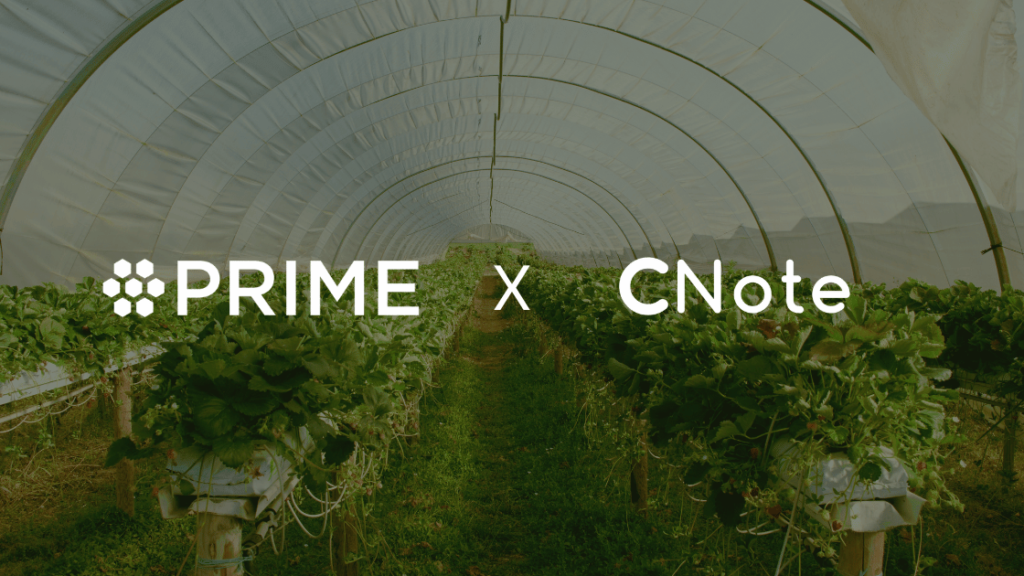 CNote | Where Values Meet Finance: Prime Coalition’s Strategic ...